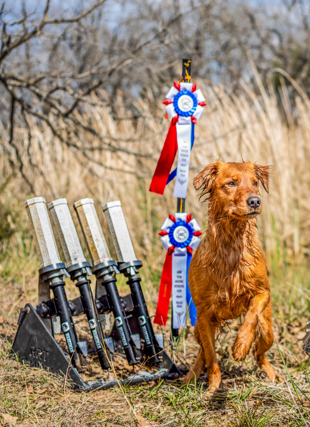 HISTORY – RRT Launcher