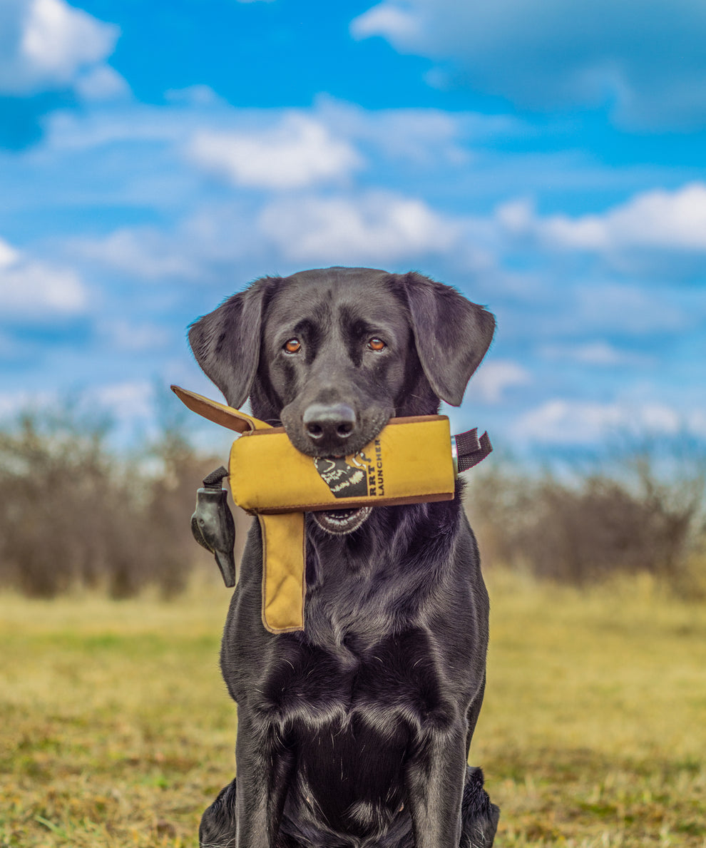 DUCK SERIES DUMMIES – RRT Launcher